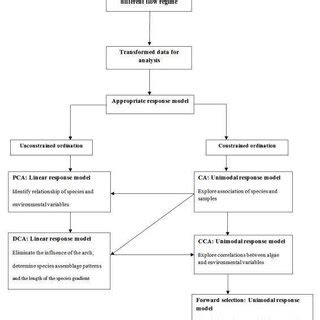 Schematic Diagram Displaying The Process Used For The Analyses And