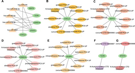 Mirna Mrna And Drug Gene Network Construction A 5 Pivotal Mirnas