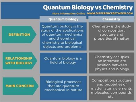 Overview Of The Branches Of Chemistry