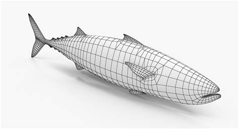 3d model mackerel