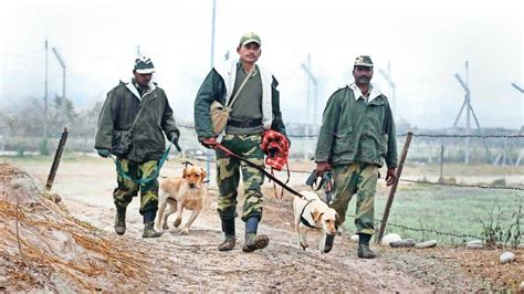 Bgb Officers Claim Of Taking Control Of 5 Km Border Stretch On Indian