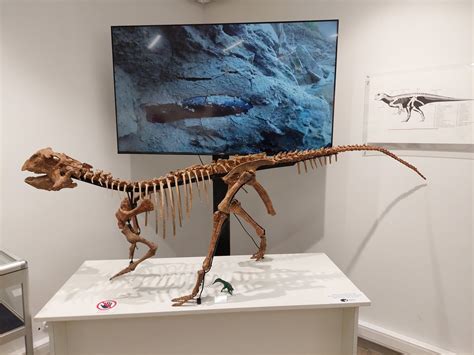 Some Cool Dinosaur Fossils From The Russian Dinosaurs Exhibition In