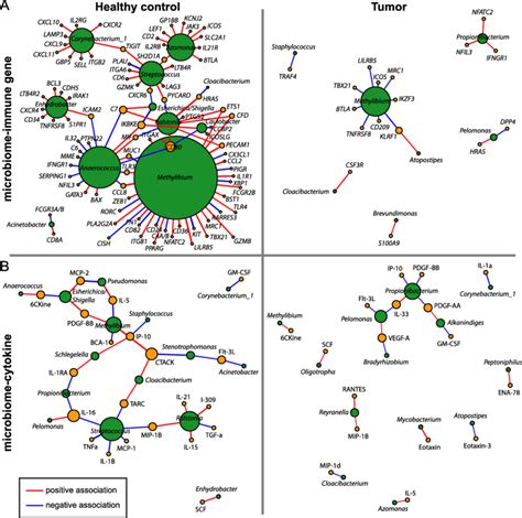Network Analyses Reveal Microbiome Immune Associations In Healthy Download Scientific Diagram
