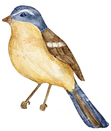 Cliparts From Anna Spring Clipart Весенний клипарт Png