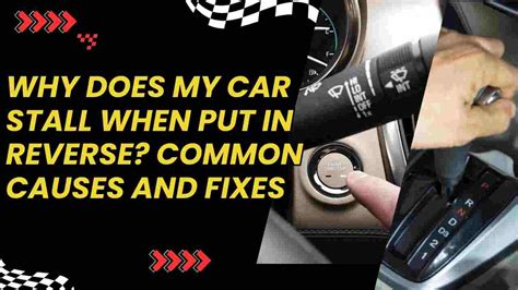 Why Does My Car Stall When Put in Reverse? 5 Common Causes and Fixes - Family Savings Hubs