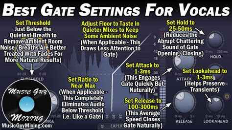 How To Use A Noise Gate A Complete Tutorial Music Guy Mixing