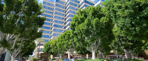 152386 Burbankimpolicyfcropandw1200andh500andqmedium