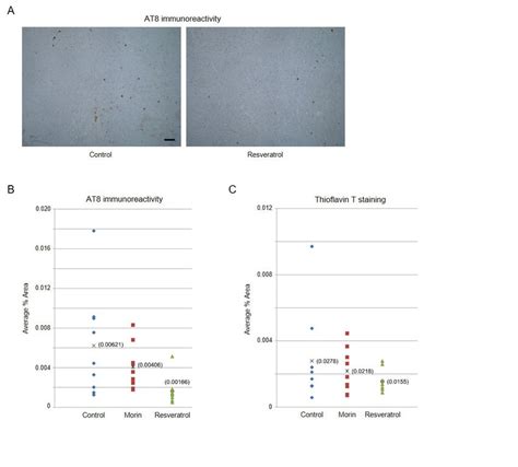 Hyperphosphorylated Tau In Brain Sections A Representative Photos Of