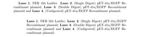 How To Prevent Line Breaks Within In Description Tex Latex Stack