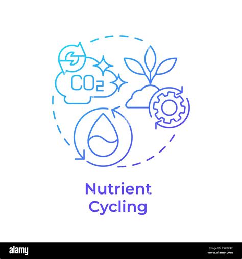 Nutrient Cycling Blue Gradient Concept Icon Stock Vector Image And Art