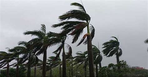 Asani Intensifies Into Severe Cyclonic Storm Coast Guard On Alert