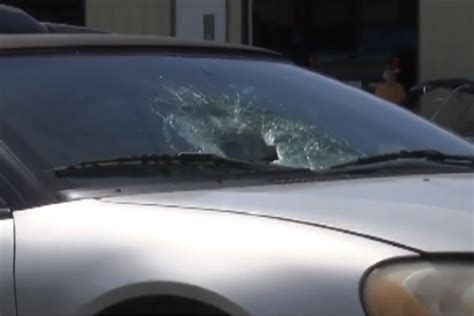 Flying Turtle Smashes Through Mans Windshield Video