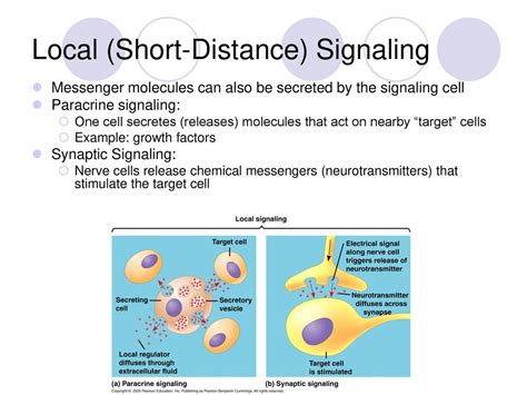 Cell Communication Ppt Download