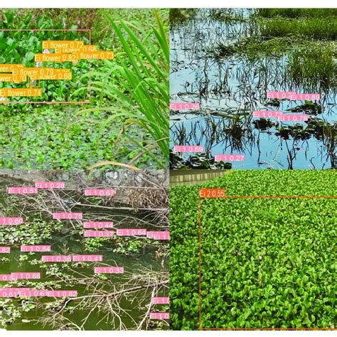 Detection Effect Of Efficient Yolov5 In Different Environments Download Scientific Diagram