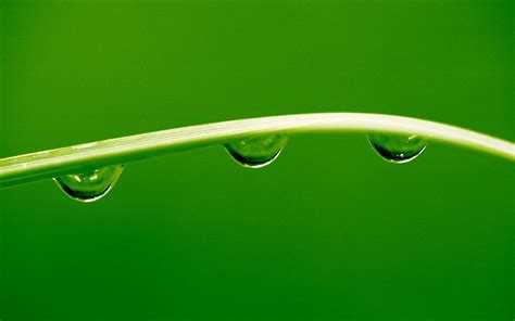 2000 Natuur Achtergronden Hd Gratis Afbeeldingen