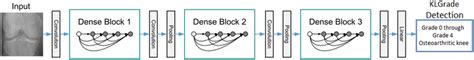 Densenet Architecture With Three Dense Blocks Download Scientific Diagram
