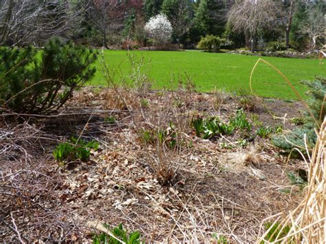 10 Spring Yard Chores To Help Get Your Yard Ready For Summer ~ Bless My