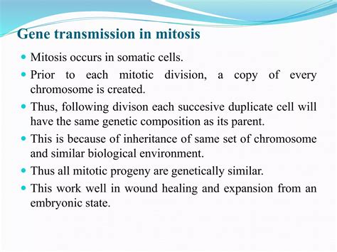 Mitosis Meiosis And Inheritance Ppt