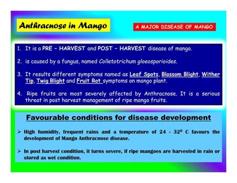Mango Diseases And Its Management Pdf