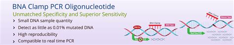 Bna Pcr Clamping Bio Synthesis Inc