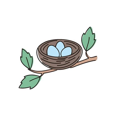 Illustration Of Twig Nest In An Oaks Crook 50383307 Vector Art At Vecteezy
