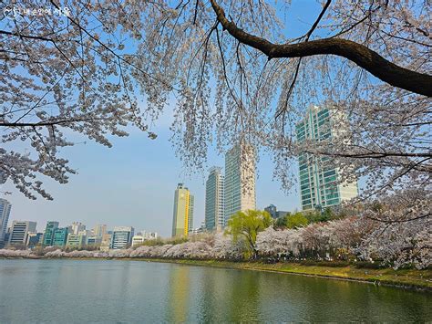 서울시 내 손안에 서울