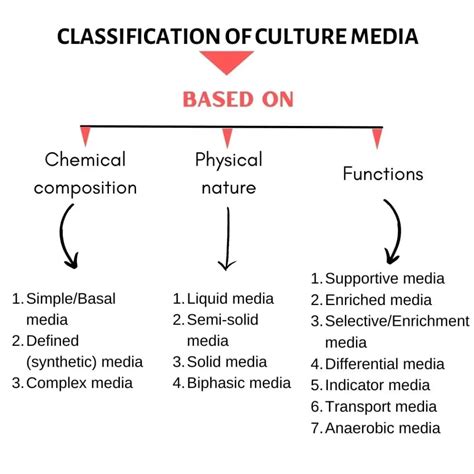 BACTERIAL CULTURE MEDIA Microbiology
