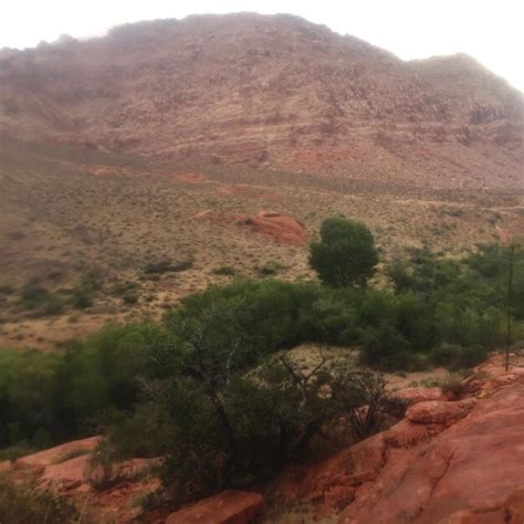 Premium Photo Idyllic View Of Red Rock Canyon National Conservation Area