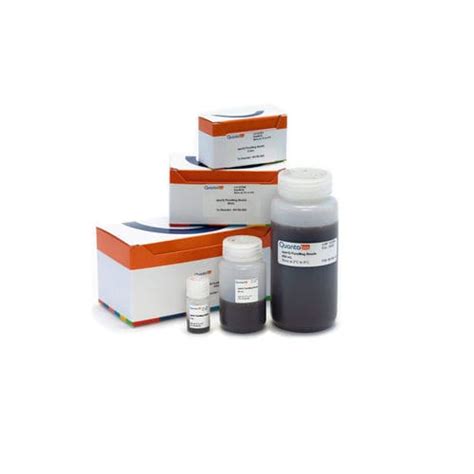 Magnetic Bead Based Reagent Kit SparQ PureMag QuantaBio For