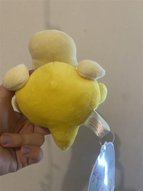 Real Or Fake R Pokeplush
