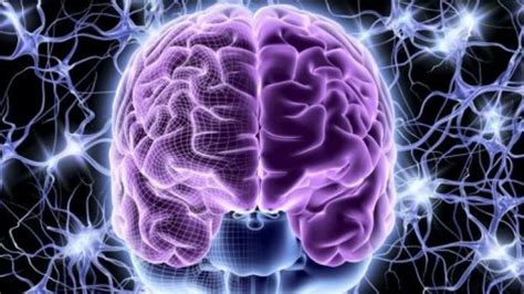 Our Brain Classifies Informations During Sleep Lopinion