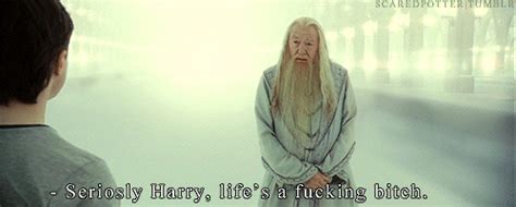 Srsly Harry Album On Imgur