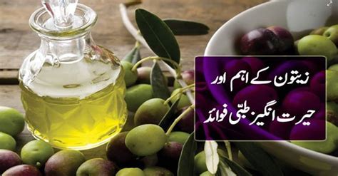زیتون کے طبی فوائد