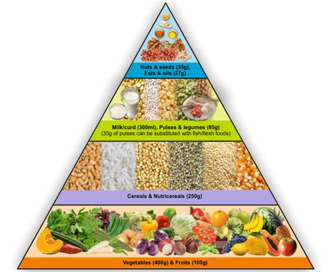 Arctic Food Pyramid