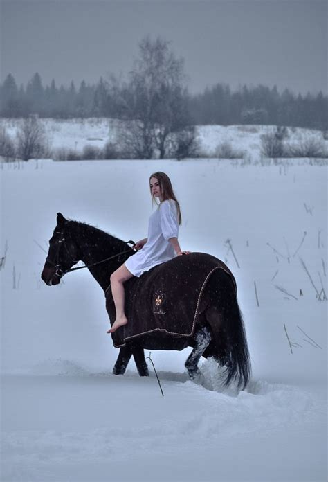 Лошади конный спорт