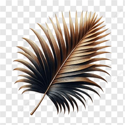 أوراق النخيل واشنطن شجرة كف نخلة Png صورة للتحميل مجانا