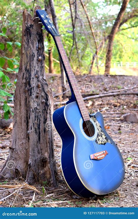 Blue Acoustic Guitar Stock Image Image Of Guitar Blue 127117703