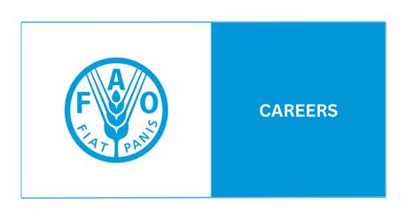 Reign Gigs Global Ngo Vacancies