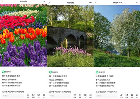 围攻小红书抖音微信各有算盘 增长科学