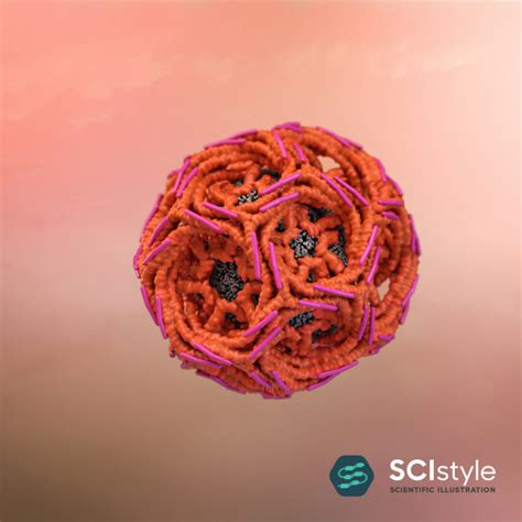 Clathrin Coated Vesicle Scistyle
