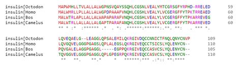 Examples — Jmsa 10 Snapshot Documentation