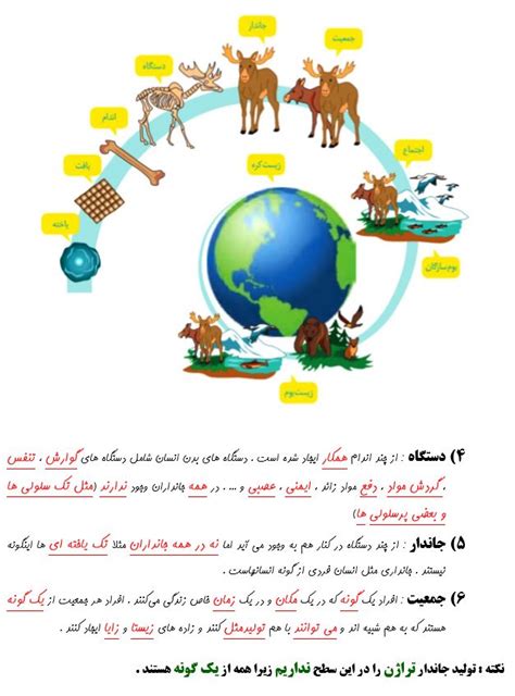 جزوه جمع بندی زیست دهم تجربی فصل اول