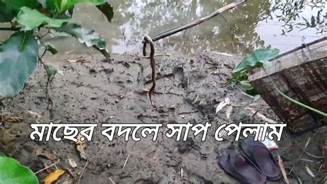 মাছ ধরতে গিয়ে সাপ 🐍পেলাম। যারা পানিতে নেমে মাছ ধরেন তারা সাবধানে ধরবেন