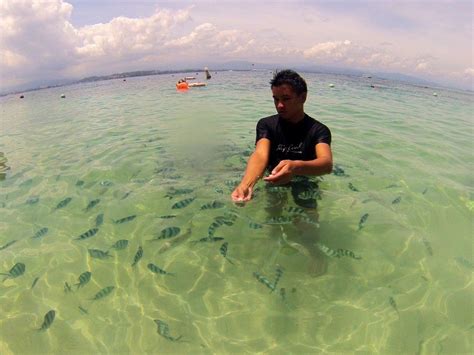 Video Tunku Abdul Rahman Park Snorkelling In Malaysian Borneo