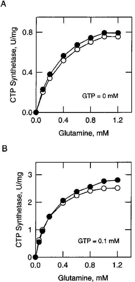 Effect Of Phosphorylation On The Kinetics Of Ctp Synthetase Activity Download Scientific