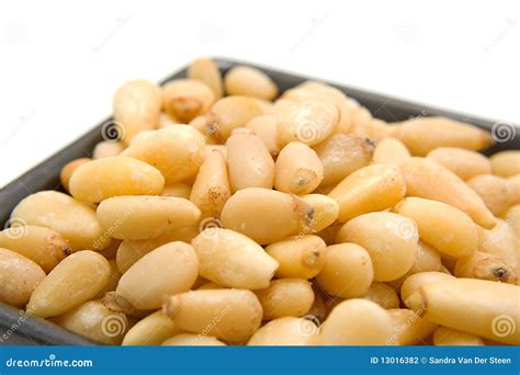 Little bowl with pine nuts stock photo. Image of isolated - 13016382