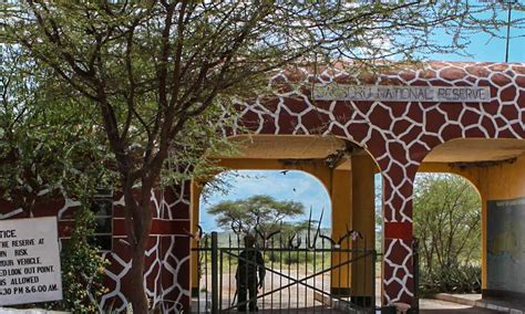 Samburu Safari Packages Bamm Tours And Safaris Call 254 754 004003