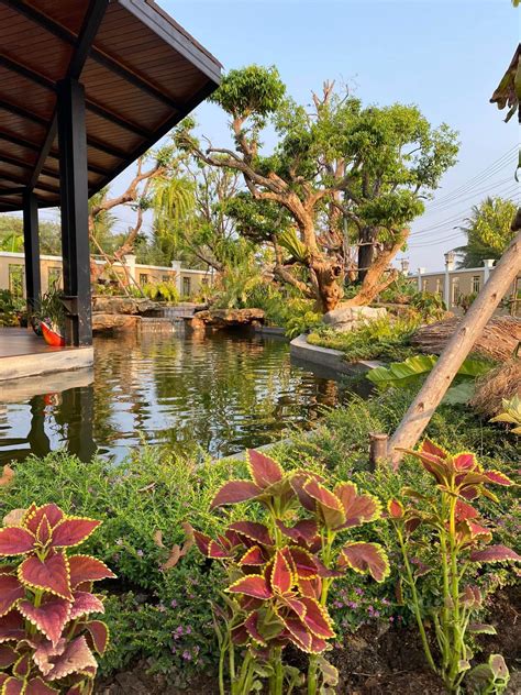 สวนไม้มงคล เปลี่ยนบ้านคุณให้ร่มรื่น ถูกหลักฮวงจุ้ย ด้วยการจัดสวน พร้อมทำน้ำตก บริการประทับใจ