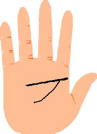 Palmistry Net Talk 15 Head Line Smiley Split Head Square