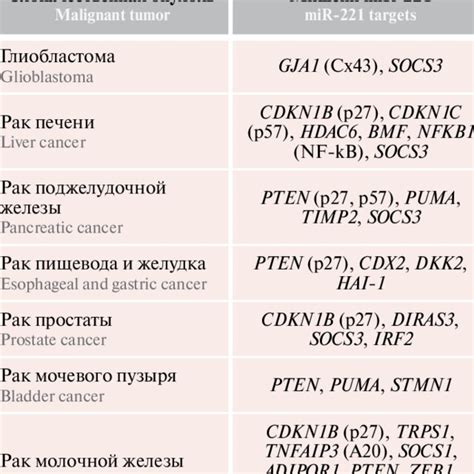 Expression Of Mir 221 In Various Tumors 37 Download Scientific Diagram